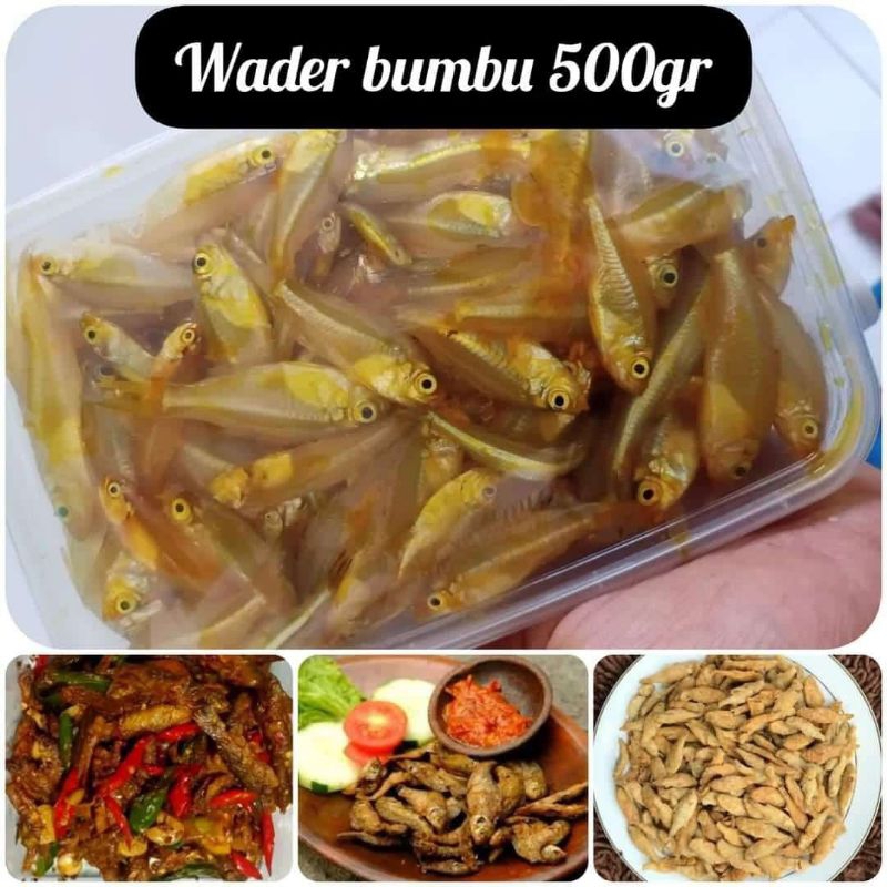 Jual Ikan Wader Bumbu Marinasi | Shopee Indonesia