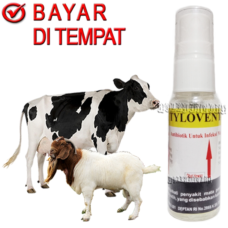 Jual TYLOVENT Spray Obat Mata Sapi Kambing Sakit Infeksi Bengkak Merah ...