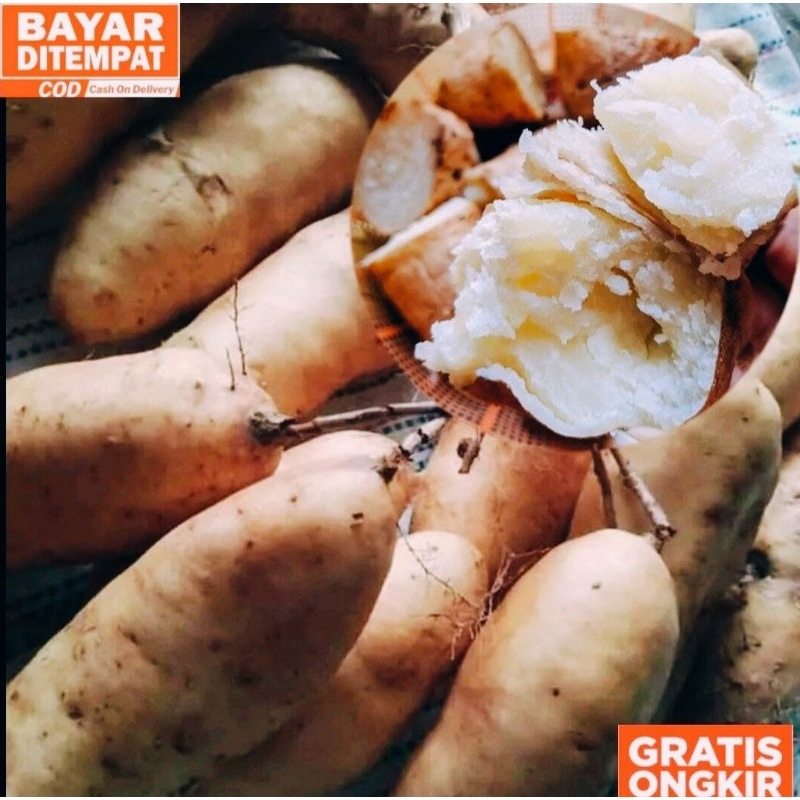 Jual umbi gembili fress kemasan 1kg ,gembili ketan,gembili mentah (beli ...