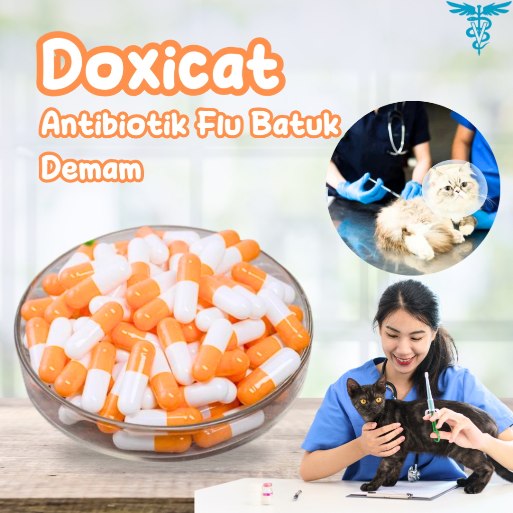 Jual DOXY CAT OBAT ANTIBIOTIK FLU DEMAM BATUK KUCING DOXYCAT | Shopee ...