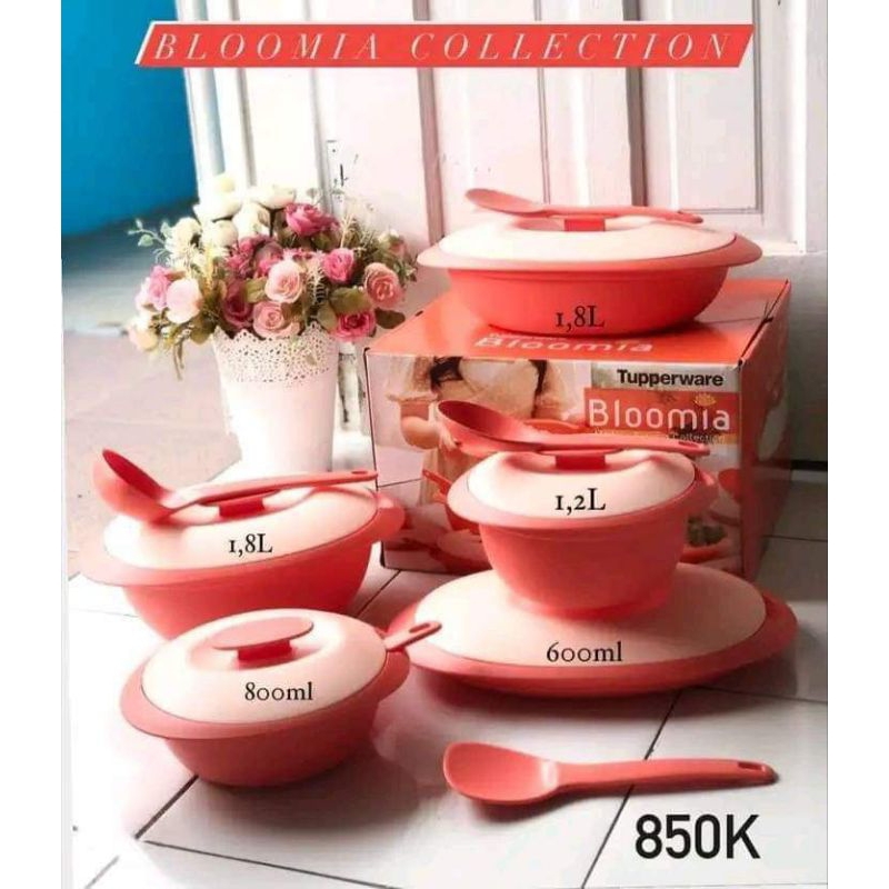 Jual bloomia/raya collection tupperware | Shopee Indonesia