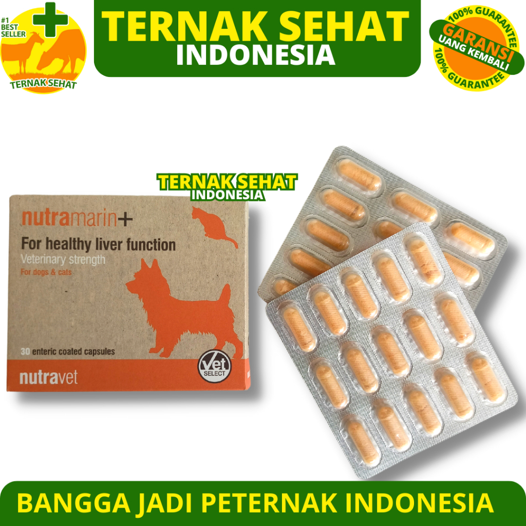 Jual NUTRAMARIN PLUS 15 KAPSUL - Obat Suplemen Gangguan Liver Hati ...