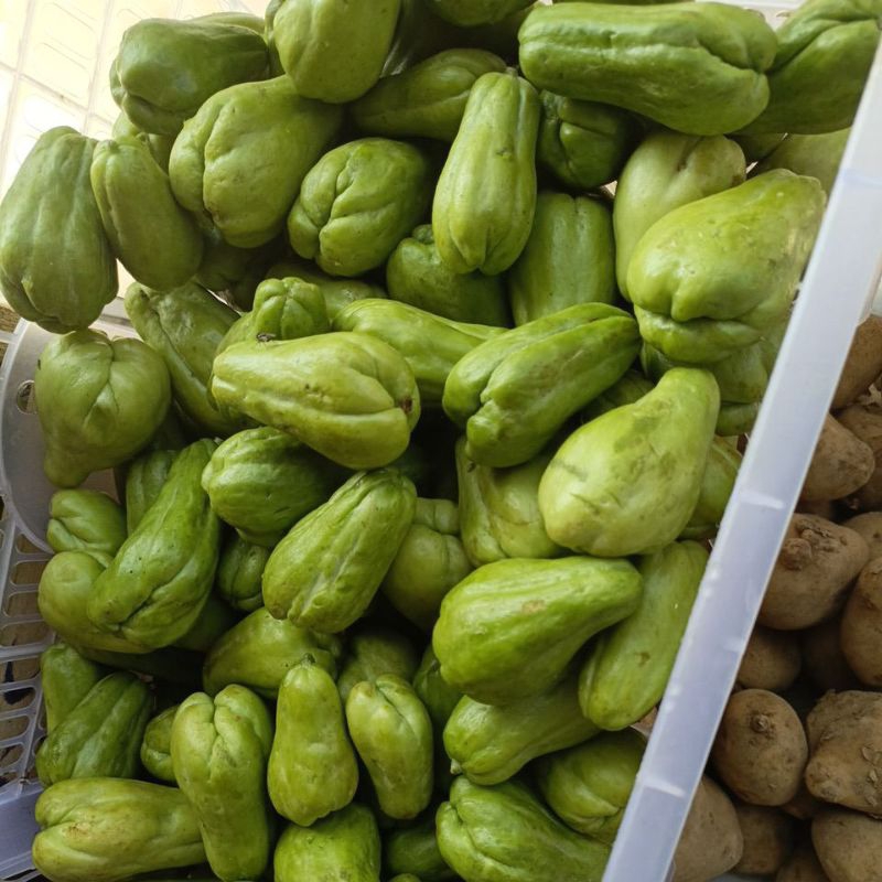 Jual labu acar hijau labu lalalp labu kecil labu manis | Shopee Indonesia