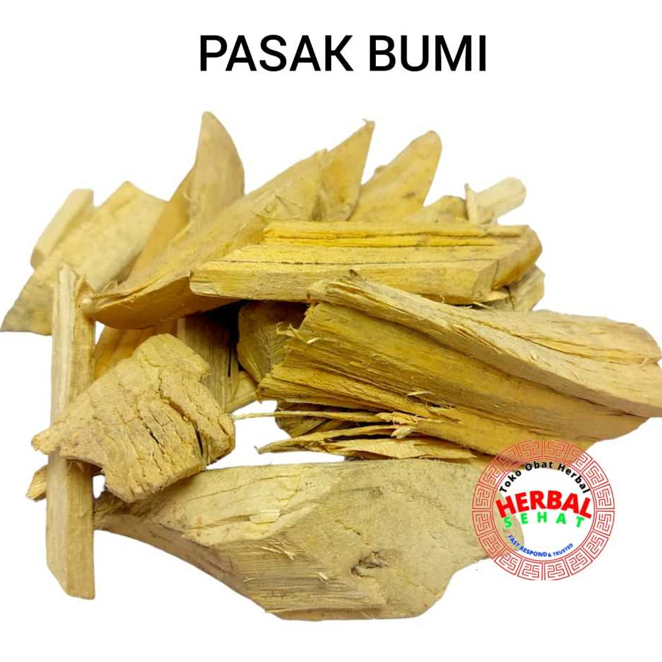 Jual Akar Pasak Bumi - Potongan - Tongkat Ali Herbal 100-250-500-600gr | Shopee Indonesia