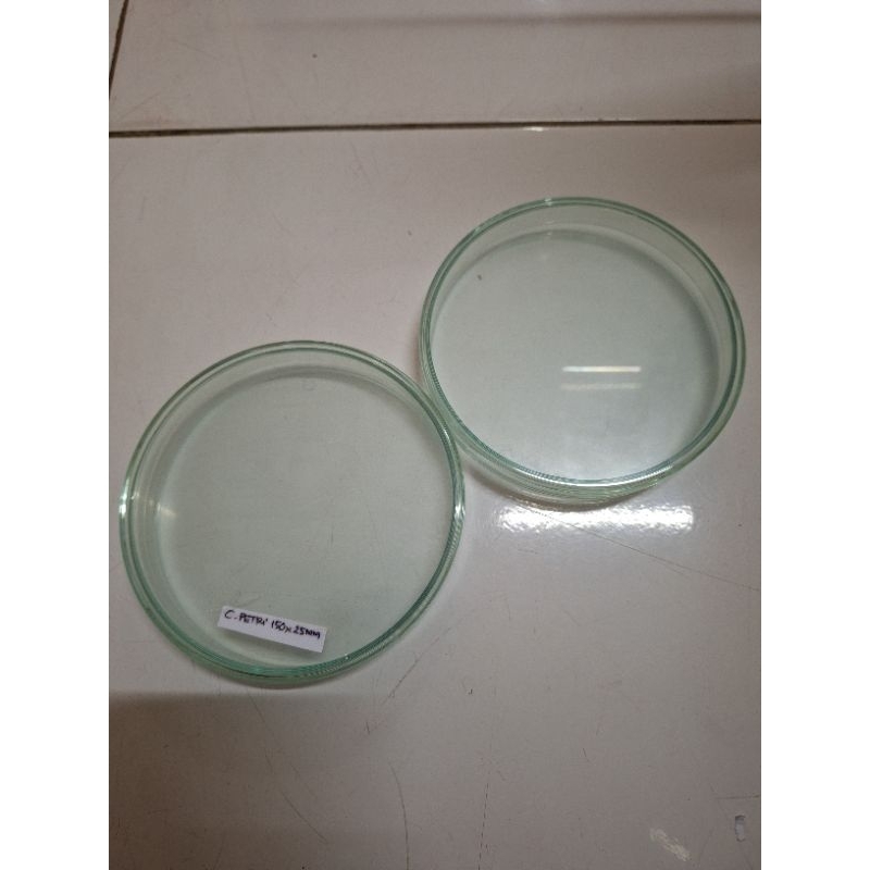 Jual PETRIDISH KACA /CAWAN PETRI BESAR 150x25mm | Shopee Indonesia