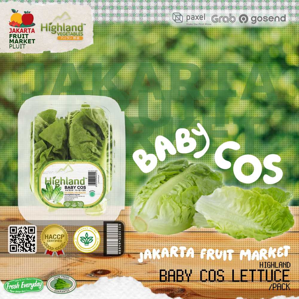 Jual HIGHLAND LETTUCE BABY COS sayuran selada lettus | Shopee Indonesia