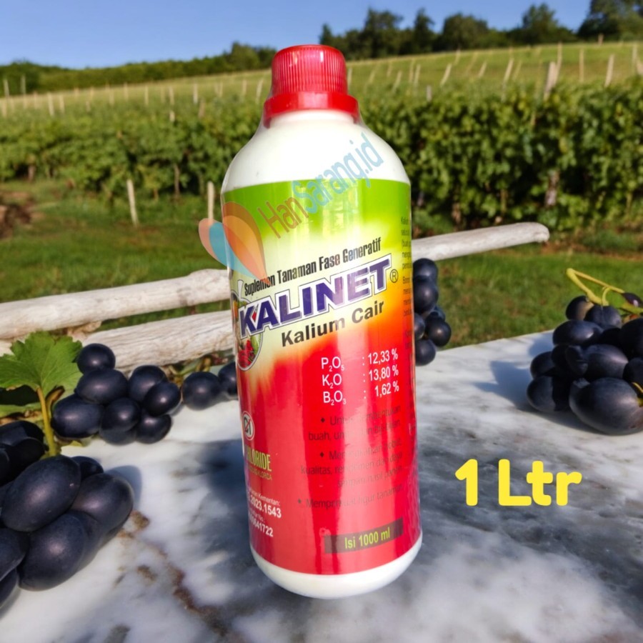 Jual Kalinet 1 Liter Pupuk Kalium Cair Pembuahan Generatif Pemanis ...