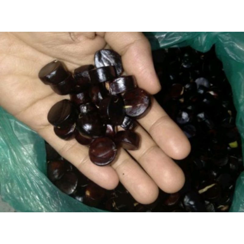 Jual 500 gr Lalapan julang jaling khas lampung asli | Shopee Indonesia