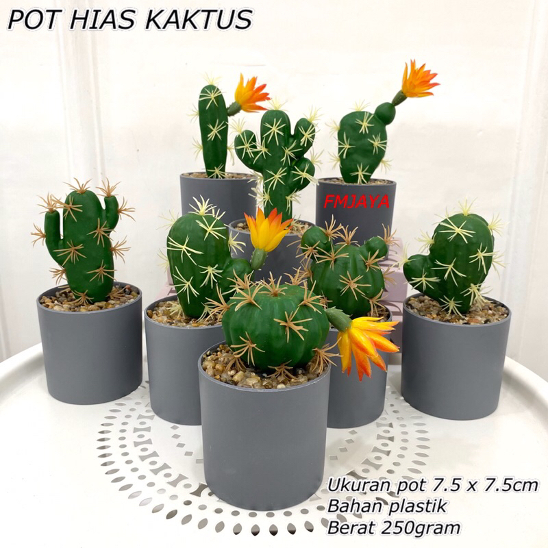 Jual POT HIAS || POT HIAS KAKTUS || TANAMAN PLASTIK BUNGA HIAS || POT ...