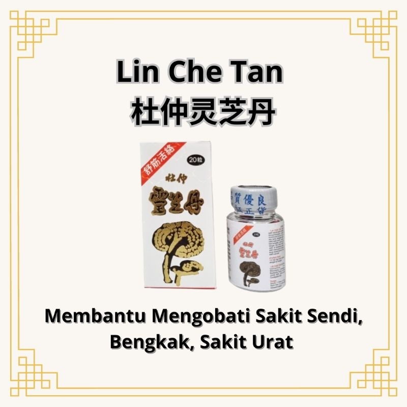 Jual Lin Che Tan | Duzhong Lin Che Tan | Kemasan botol kaca | Shopee ...