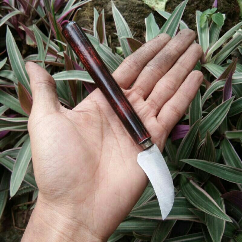 Jual Pisau Serut Kayu Bambu Multifungsi Pisau stek okulasi Pisau ukir ...