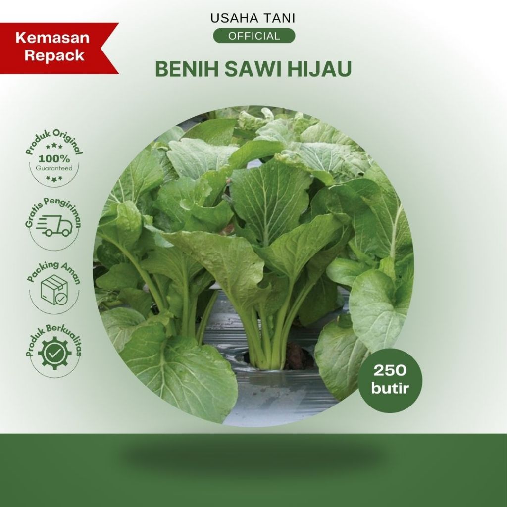 Jual Benih Caisim Sawi Hijau Kemasan Repack | Shopee Indonesia