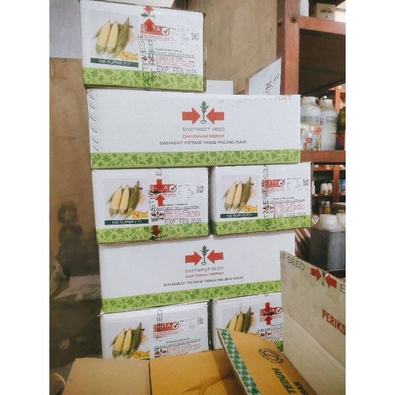 Jual NB SUPER F1 BENIH JAGUNG MANIS ORIGINAL 1DUS ISI 20PCS | Shopee ...