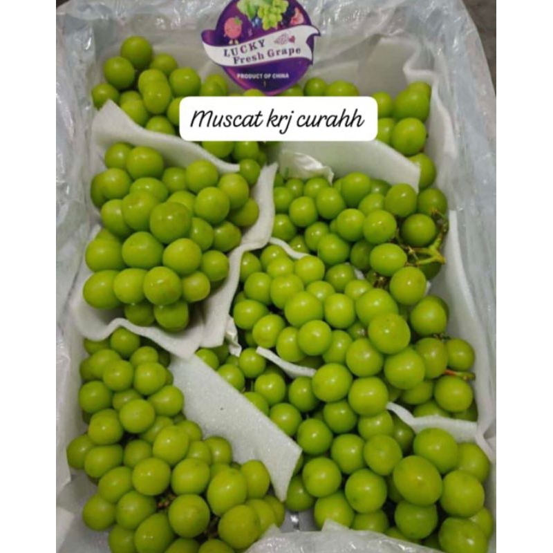 Jual Anggur shine Muscat jumbo | Shopee Indonesia