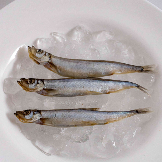 Jual Ikan Shisamo Betina / Capelin / Ikan Cipung Segar - Fresh Goods ...