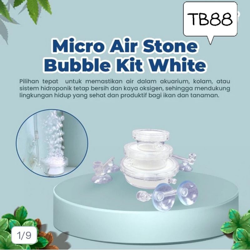 Jual Airstone aerator micro bubble kit nano diffuser white 40mm || 80mm ...