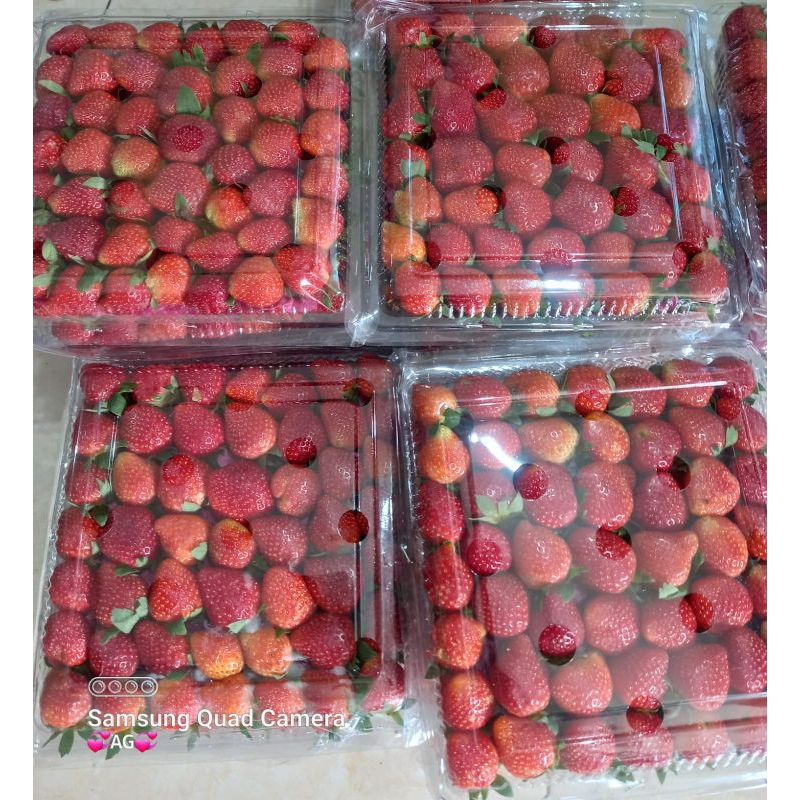 Jual strawberry 1kg | Shopee Indonesia