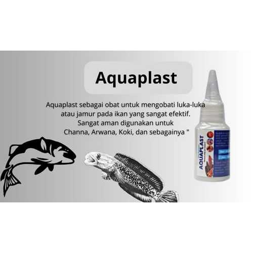 Jual AQUAPLAST Fish Bandage obat Ikan Luka-luka, Jamuran, Finrot atau ...