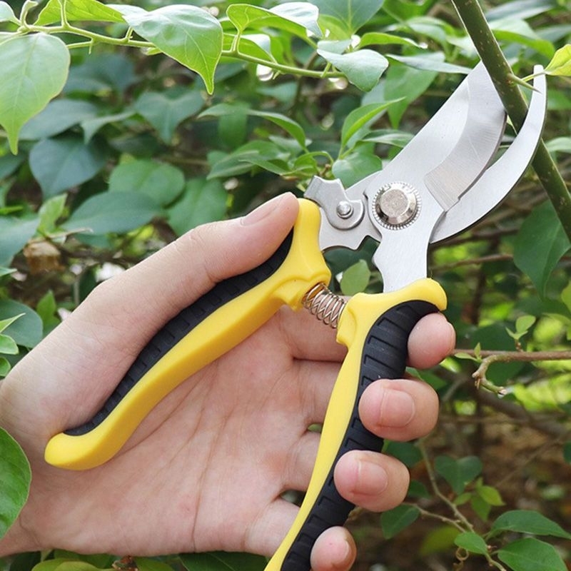 Jual RB Gunting Kebun Baja 19 * 6,5 cm Pemangkas Dahan Pohon Belukar ...