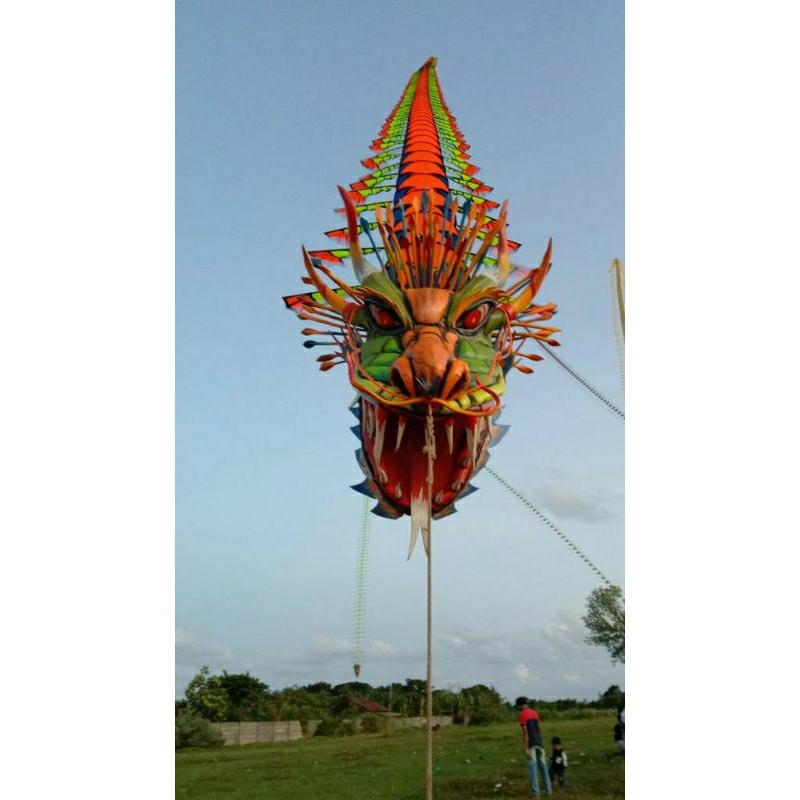 Jual TERMURAH!!!Layangan NAGA (full FIBBER) Diameter 10 / 15 / 20 dst ...