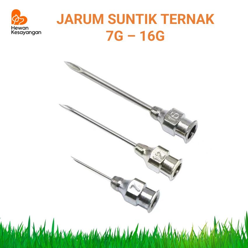 Jual Jarum Suntik Besi Hewan Ternak Kambing, Domba, Sapi, Kuda Ukuran ...