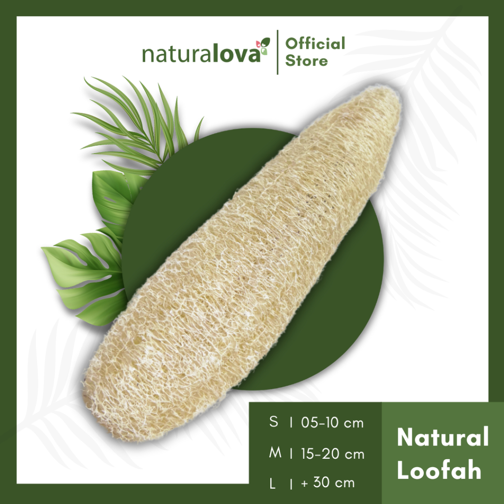 Jual Naturalova Natural Loofah Spons Alami untuk Mandi dan Cuci Piring ...