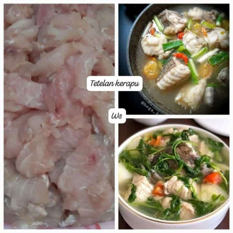Jual Tetelan kerapu 500gr | Shopee Indonesia