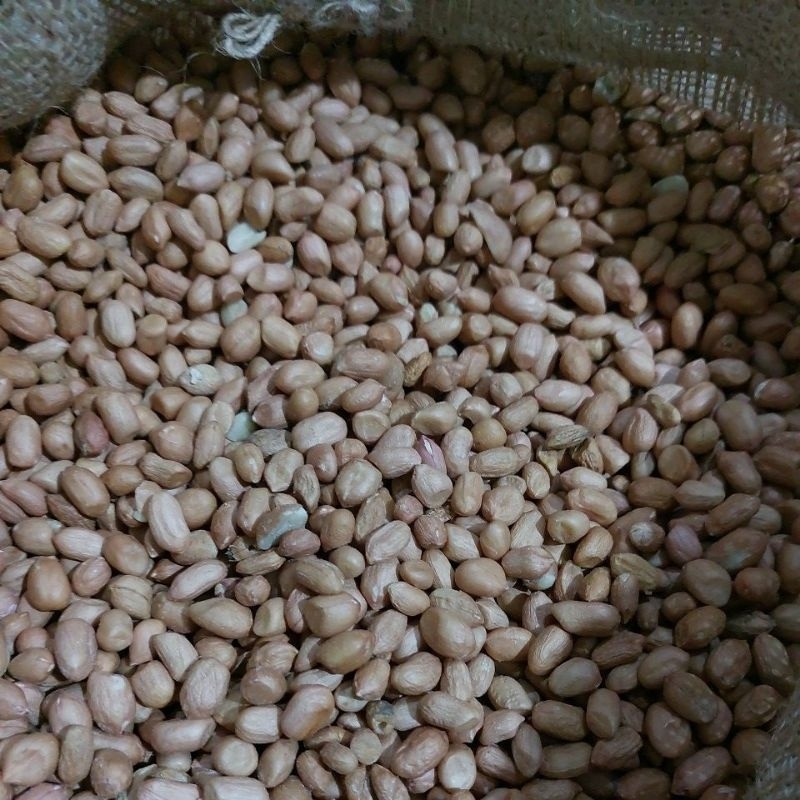 Jual kacang tanah curah kemasan 500gram.. | Shopee Indonesia