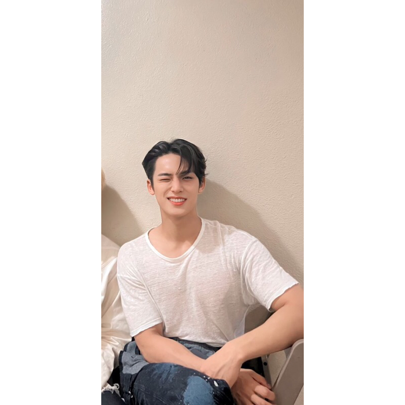 Jual PC OFFICIAL SVT MINGYU | Shopee Indonesia