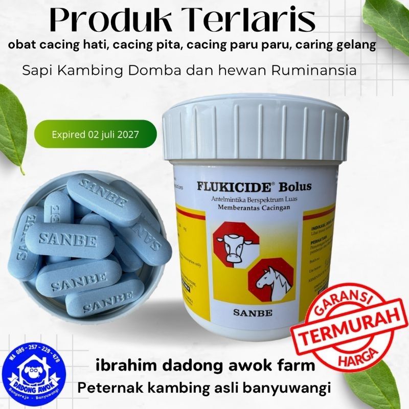 Jual FLUKICIDE BOLUS 1 eceran obat cacing sapi kambing kuda domba dan ...