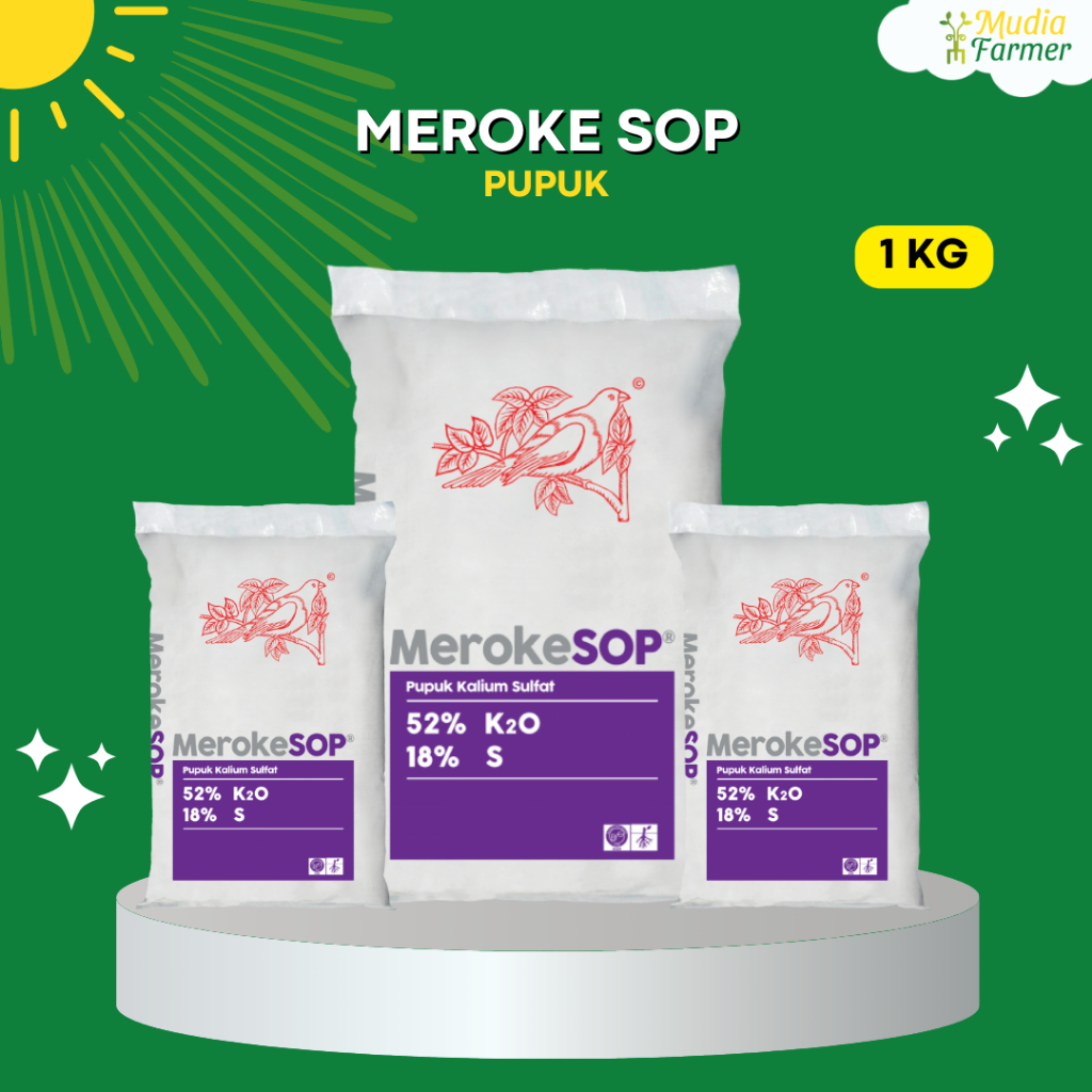 Jual PUPUK MEROKE SOP 1 KG Nutrisi Lengkap untuk Pertumbuhan Optimal Tanaman! | Shopee Indonesia