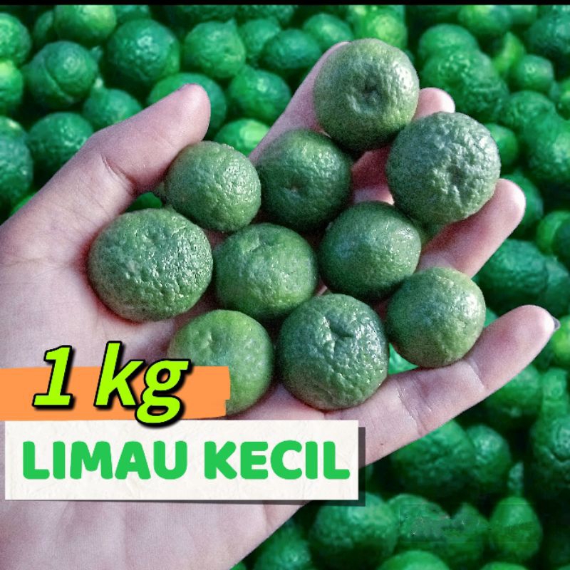 Jual 1 Kg [ Kecil ] Jeruk Limau Limo baso aci isi 120 -140 butir ...