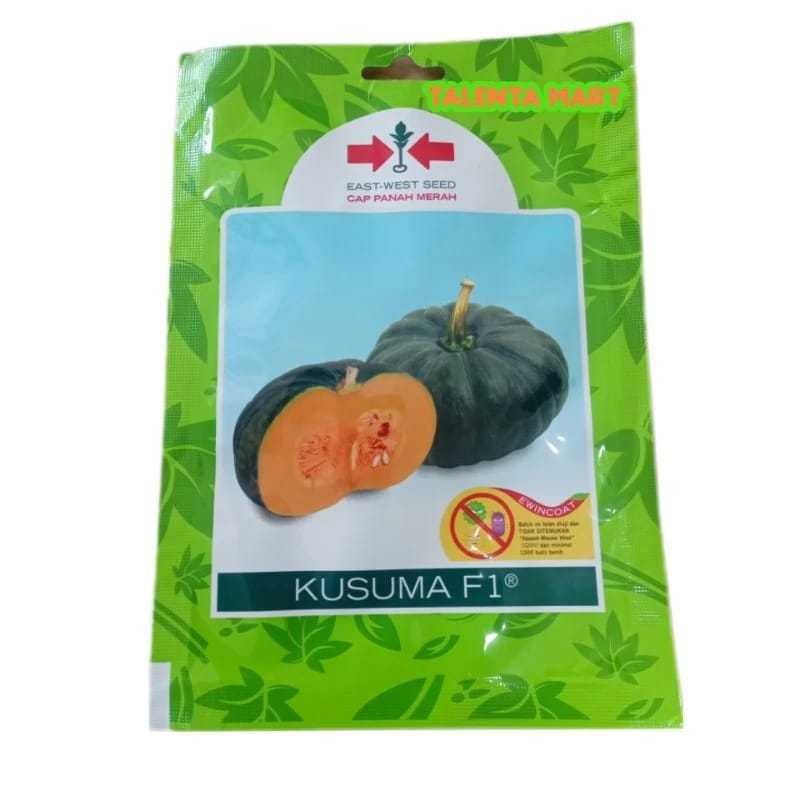 Jual 40 Butir Benih Labu Kusuma F1 Exp 2026 | Shopee Indonesia