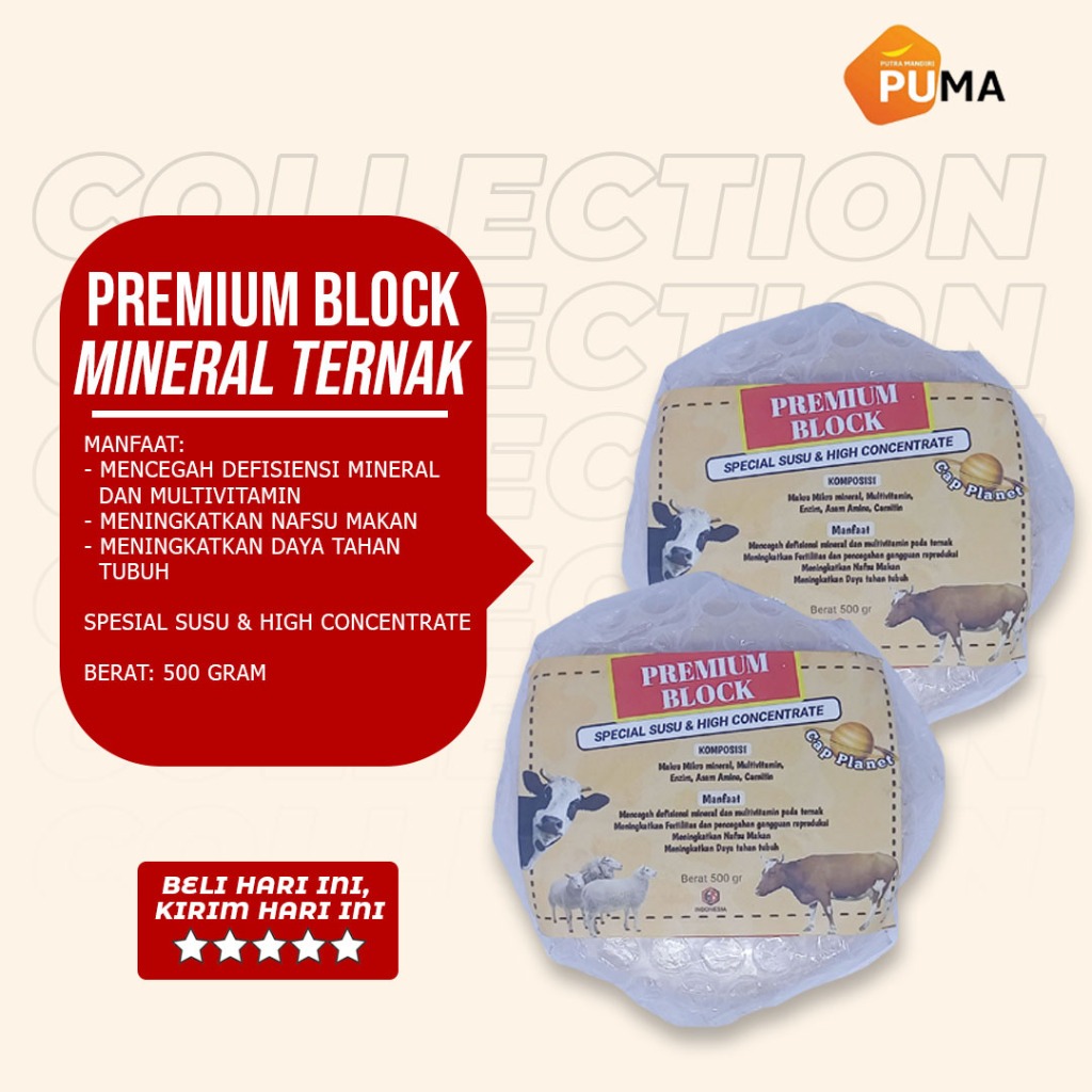 Jual MINERAL BLOCK GARAM JILAT KAMBING SAPI TERNAK PREMIUM BLOCK 500 ...