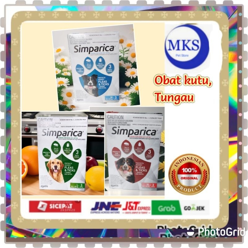 Jual Simparica tablet Anti Kutu Larva/ pinjal dan tungau Anjing ...