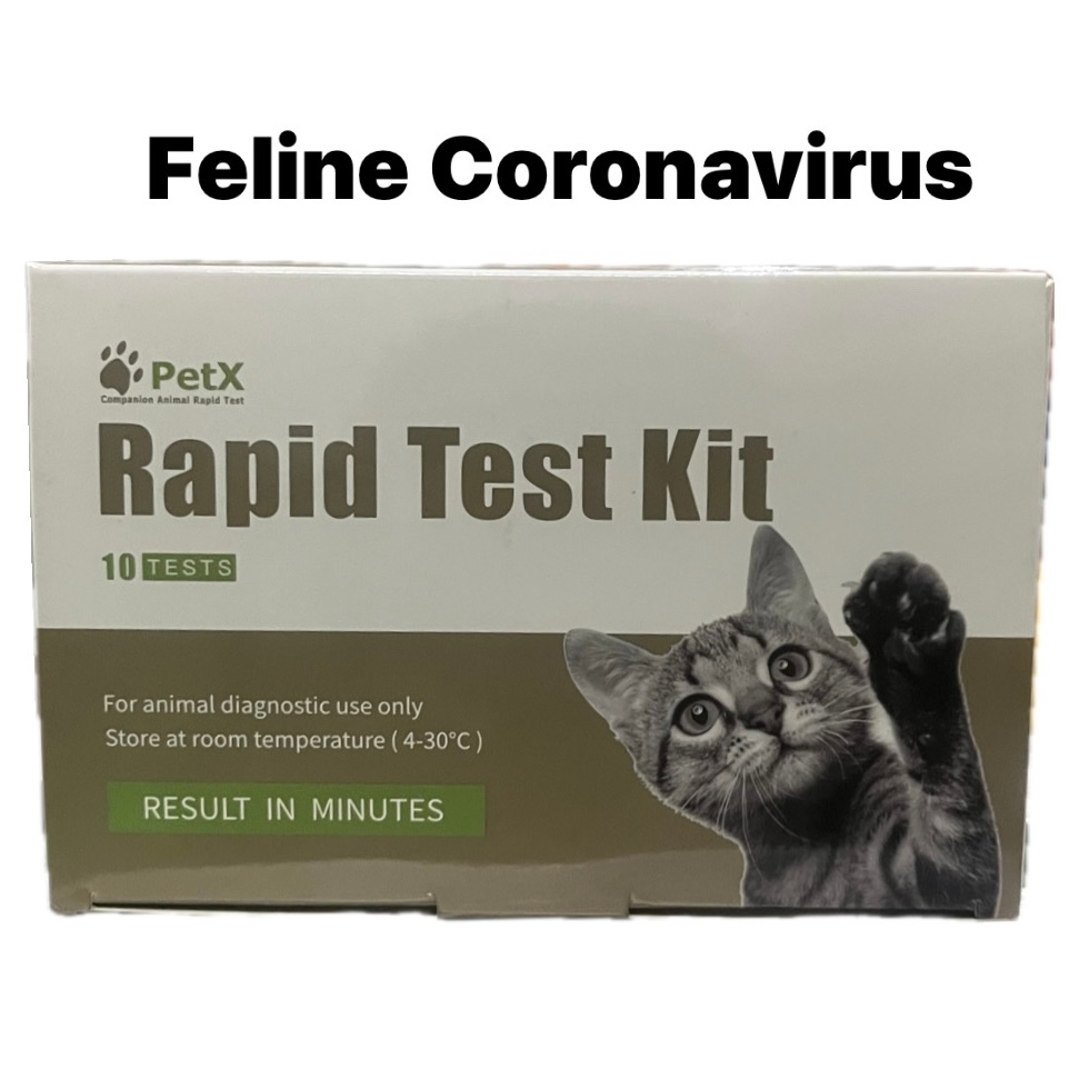 Jual Petx Feline Coronavirus (FCoV) Combo Antigen Antibodi Rapid Test ...