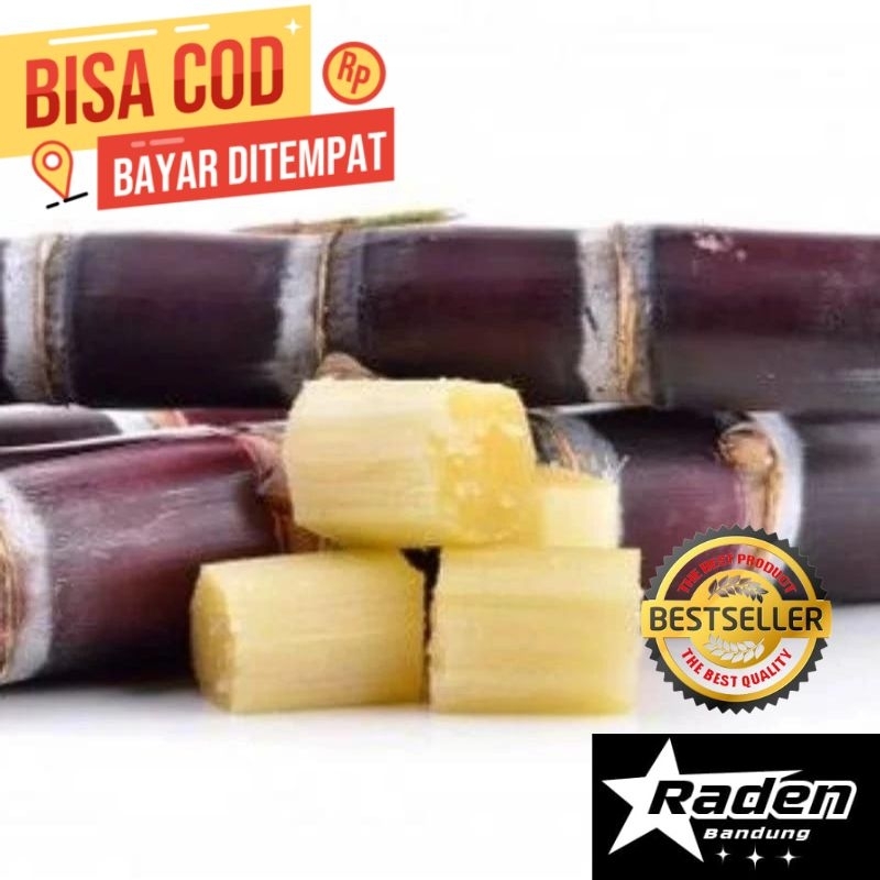Jual Tebu merah manis segar 1 kg | Shopee Indonesia