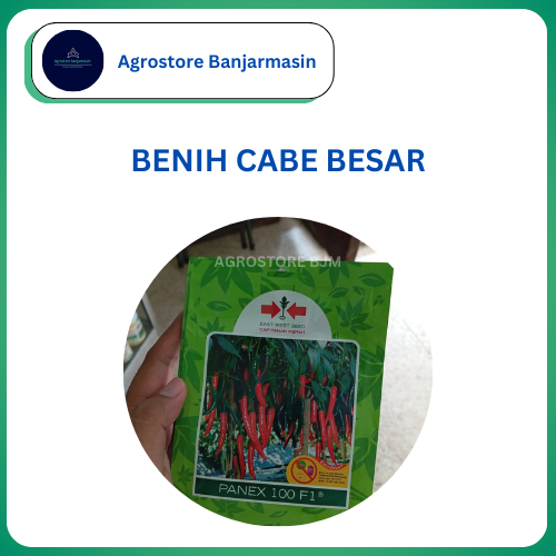 Jual Benih Cabe Besar | Shopee Indonesia