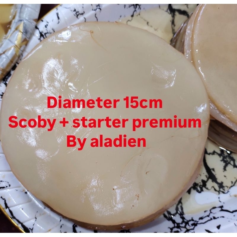 Jual Scoby Sehat / Kombucha / Starter Premium by Aladien | Shopee Indonesia