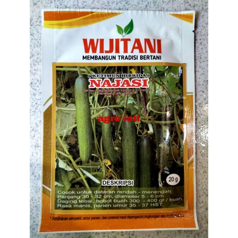 Jual Benih timun hibrida NAJASI isi 20 gram dari Wiji Tani | Shopee ...