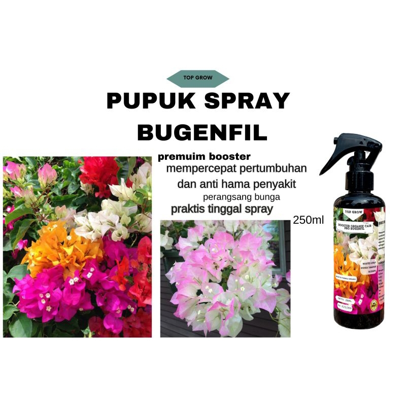 Jual Pupuk Penyubur Pelebat Bunga Kertas Pupuk Bougenville Pupuk