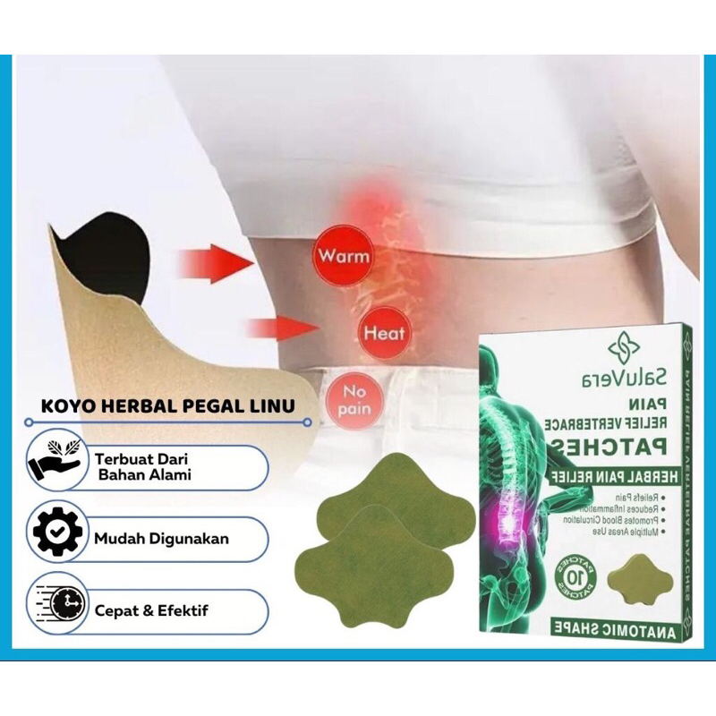 Jual Koyo Herbal Plaster Koyo Pinggang Tulang Belakang Koyo Herbal ...