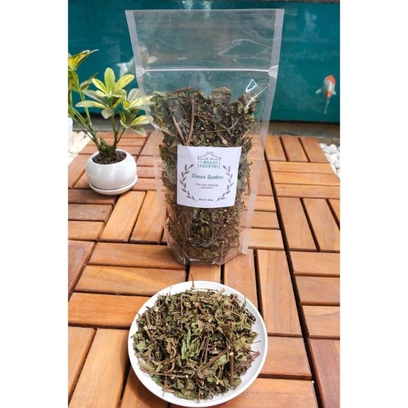 Jual Daun Luntas/Beluntas Kering Premium - 100gram (Organik) | Shopee ...