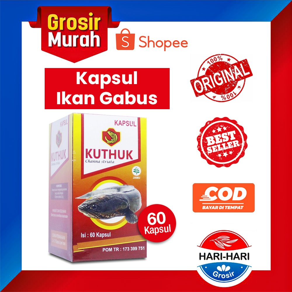 Jual MINYAK IKAN GABUS KUTUK PLUS BPOM ISI 60 KAPSUL 7x Lebih Cepat Keringkan Luka Operasi ...