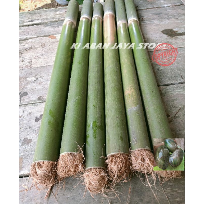 Jual Obor bambu untuk camping dan festival pawai obor dibuat dari bambu ...