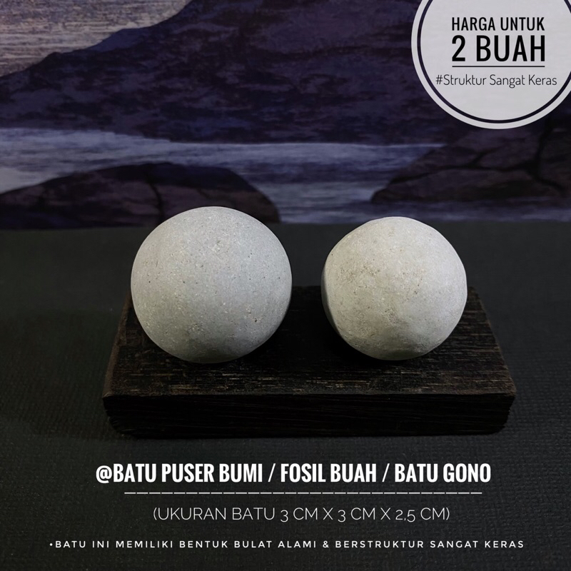 Jual Batu Puser Bumi G2 atau Fosil Buah Nyamplung atau Batu Inti atau ...