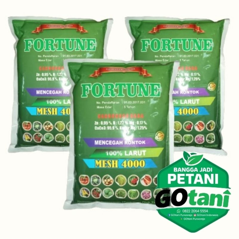 Jual Fortune 1kg | Shopee Indonesia