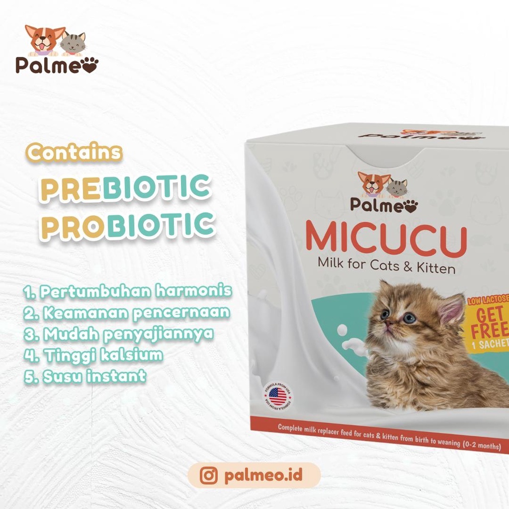 Jual Micucu Cat and Kitten / Susu Kitten Anak Bayi Kucing Baru Lahir ...