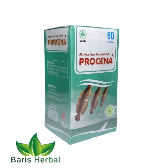 Jual Procena Ekstrak Ikan Gabus/Kutuk Isi 60 Kapsul ORIGINAL | Shopee ...