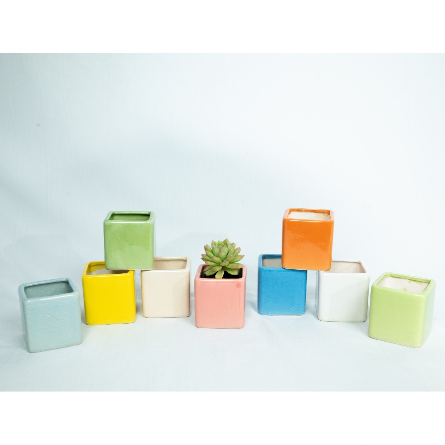 Jual Pot Mini Pot Keramik Pot Kotak Pot Tanaman Hias Motif Kotak ...